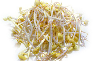 Brotes de soja | sRecetas.ES
